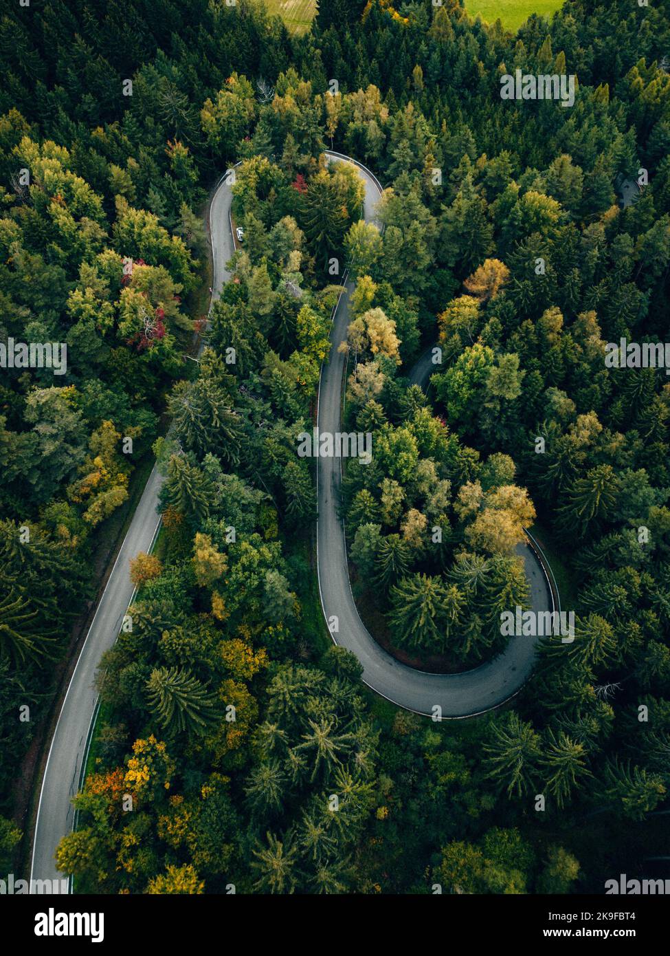 Aerial photo of road with curves in the forest Stock Photo - Alamy