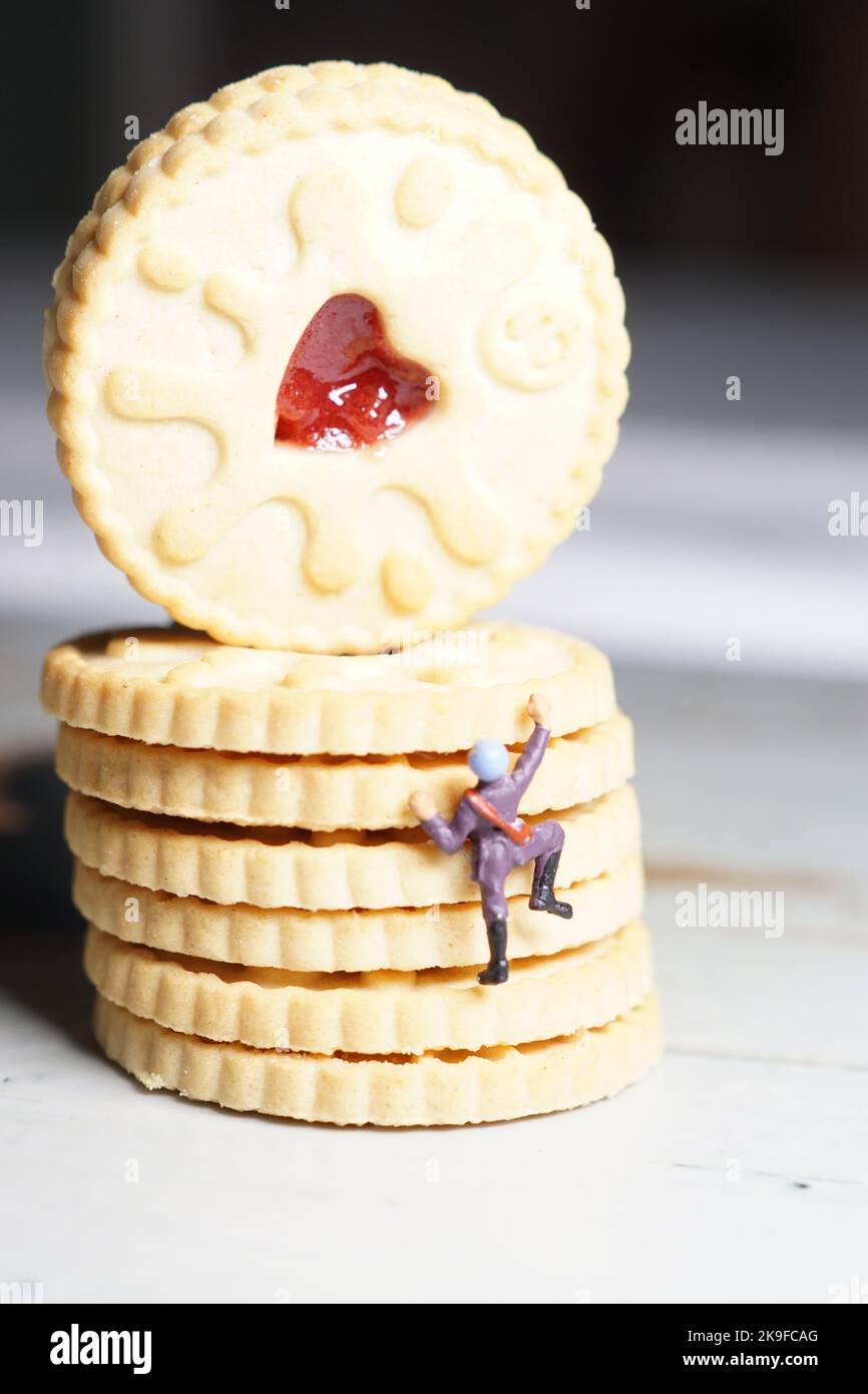 Half man half biscuit’s hi-res stock photography and images - Alamy