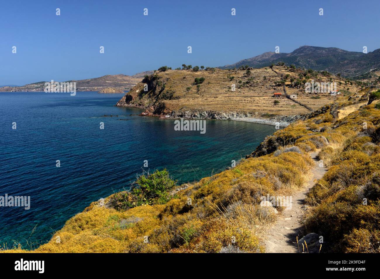 Ampelia hi-res stock photography and images - Alamy