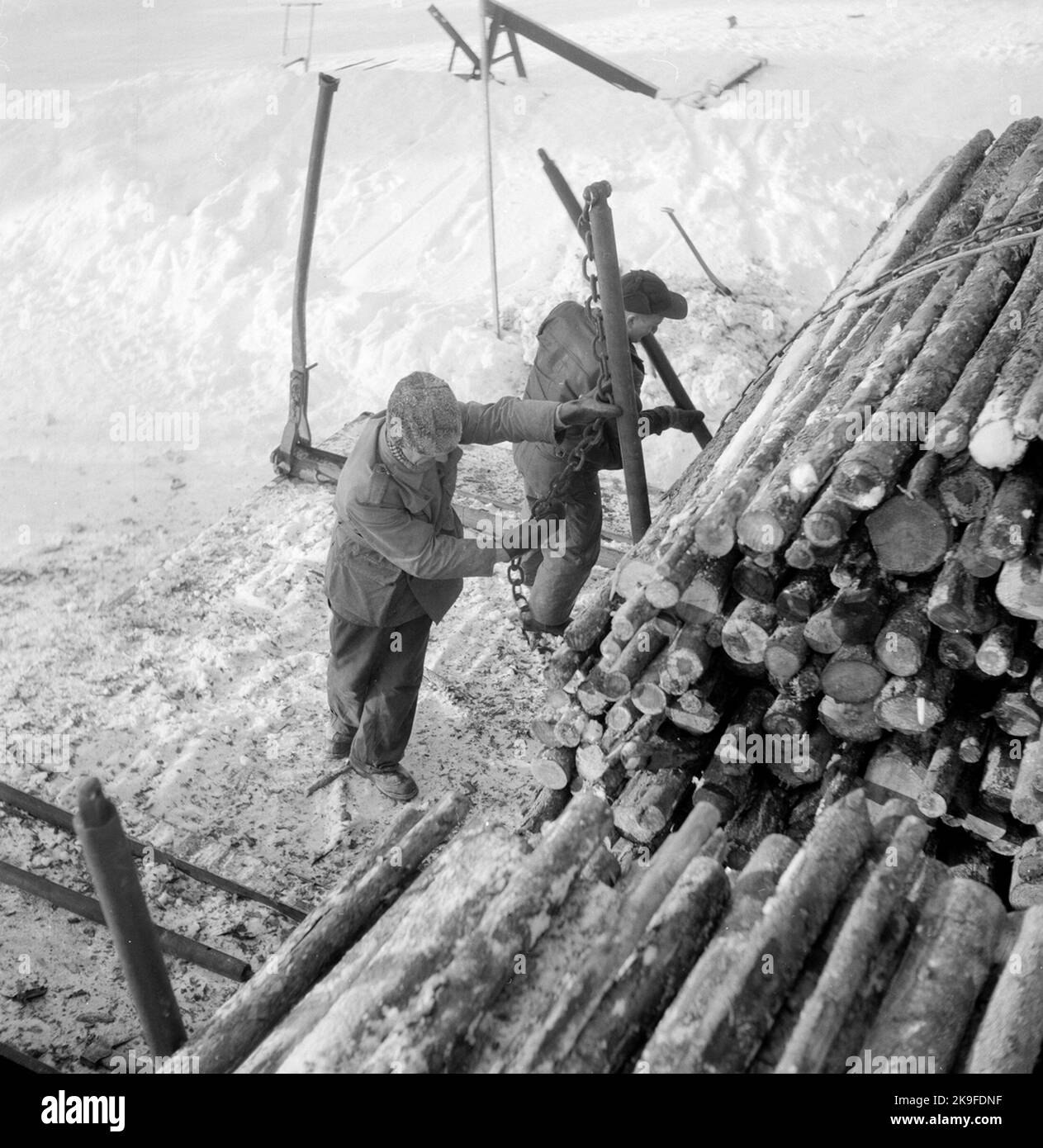 Loading of timber from truck to freight wagon with puller timber ...