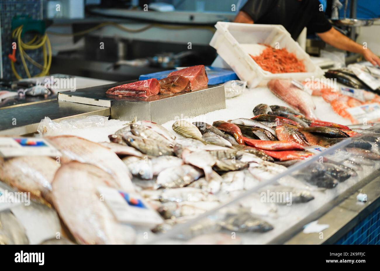 Inside seafood hi-res stock photography and images - Alamy