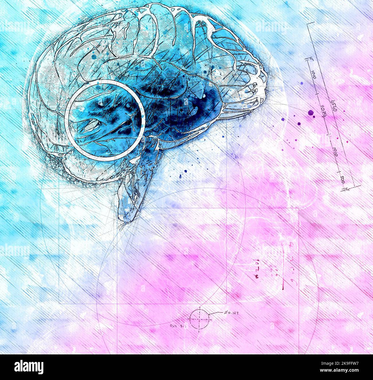 Brain study, drawing of man in profile with brain. Potentiality of the ...