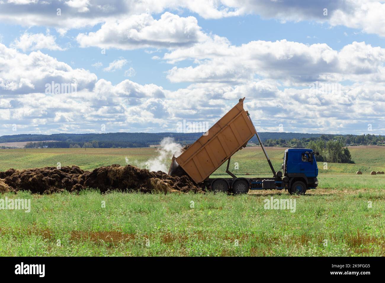 A dump truck unloads manure brought from a livestock farm into the ...