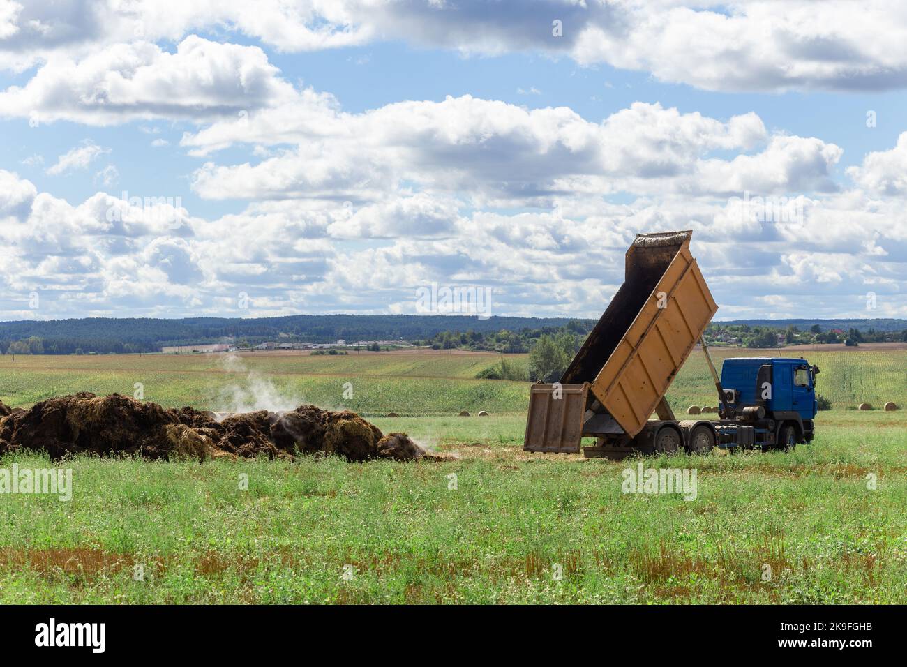 A dump truck unloads manure brought from a livestock farm into the ...
