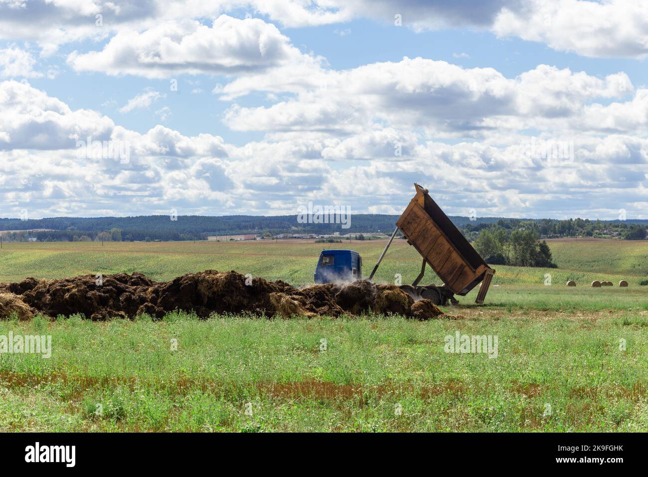 A dump truck unloads manure brought from a livestock farm into the ...