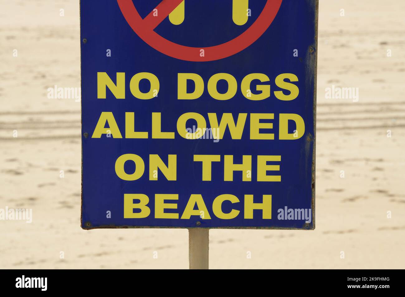 Sign, no dogs allowed on beach, signage for pet animal owners, canine ...