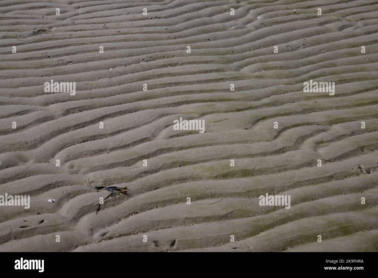 Wet abstract sand pattern for background Stock Photo - Alamy