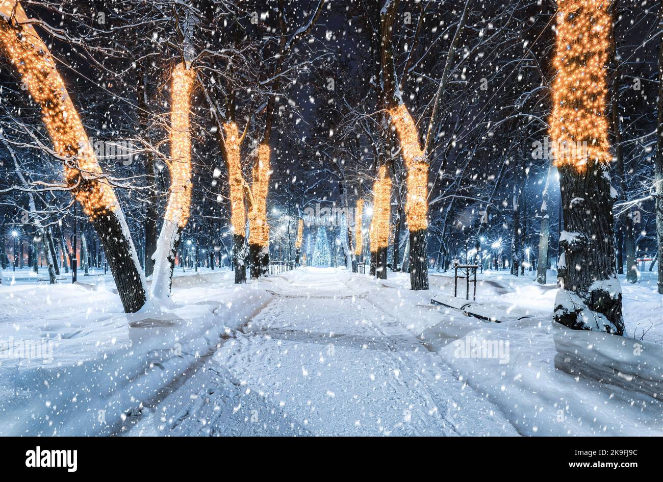 Snowfall in a winter park at night with christmas decorations, glowing ...