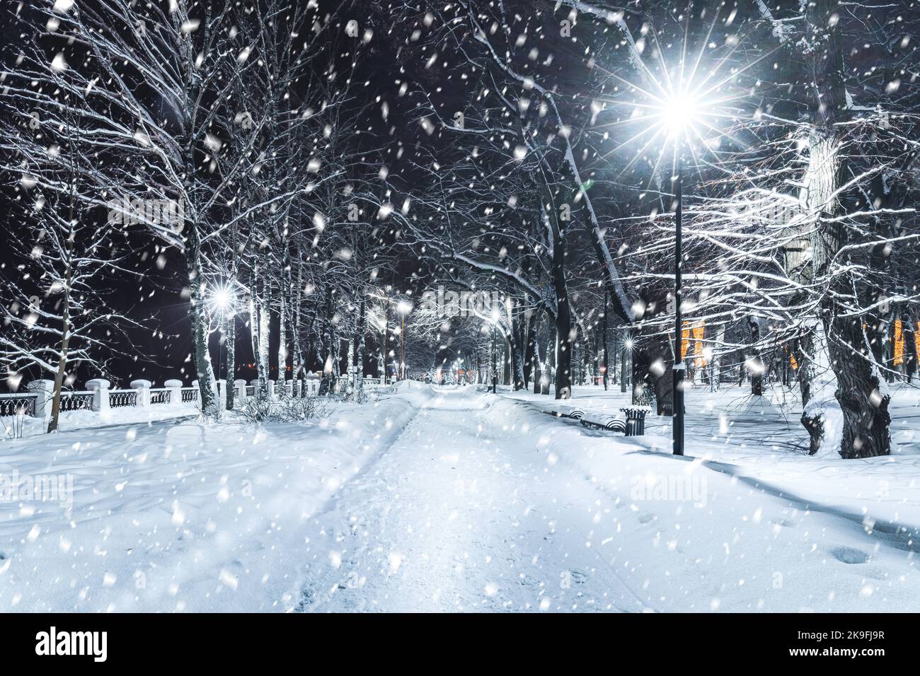 Snowfall in a winter park at night with christmas decorations, glowing ...