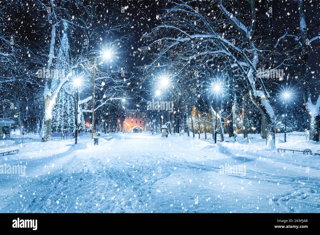Snowfall in a winter park at night with christmas decorations, glowing ...