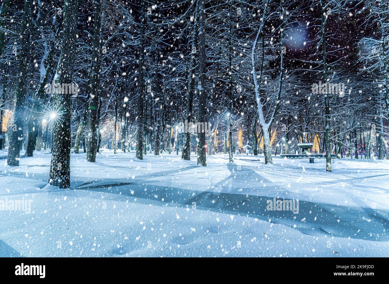 Snowfall in a winter park at night with christmas decorations, glowing ...