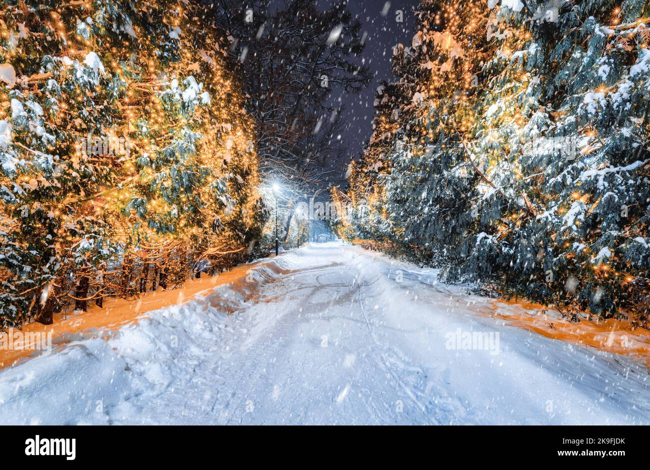 Snowfall in a winter park at night with christmas decorations, glowing ...