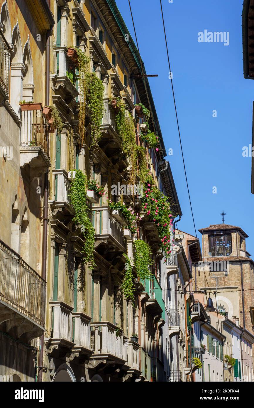 Exterior of historic buildings in Treviso, Veneto, Italy Stock Photo ...