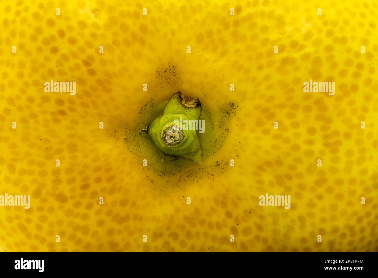 Yellow citrus fruit pedicel close-up texture background Stock Photo - Alamy