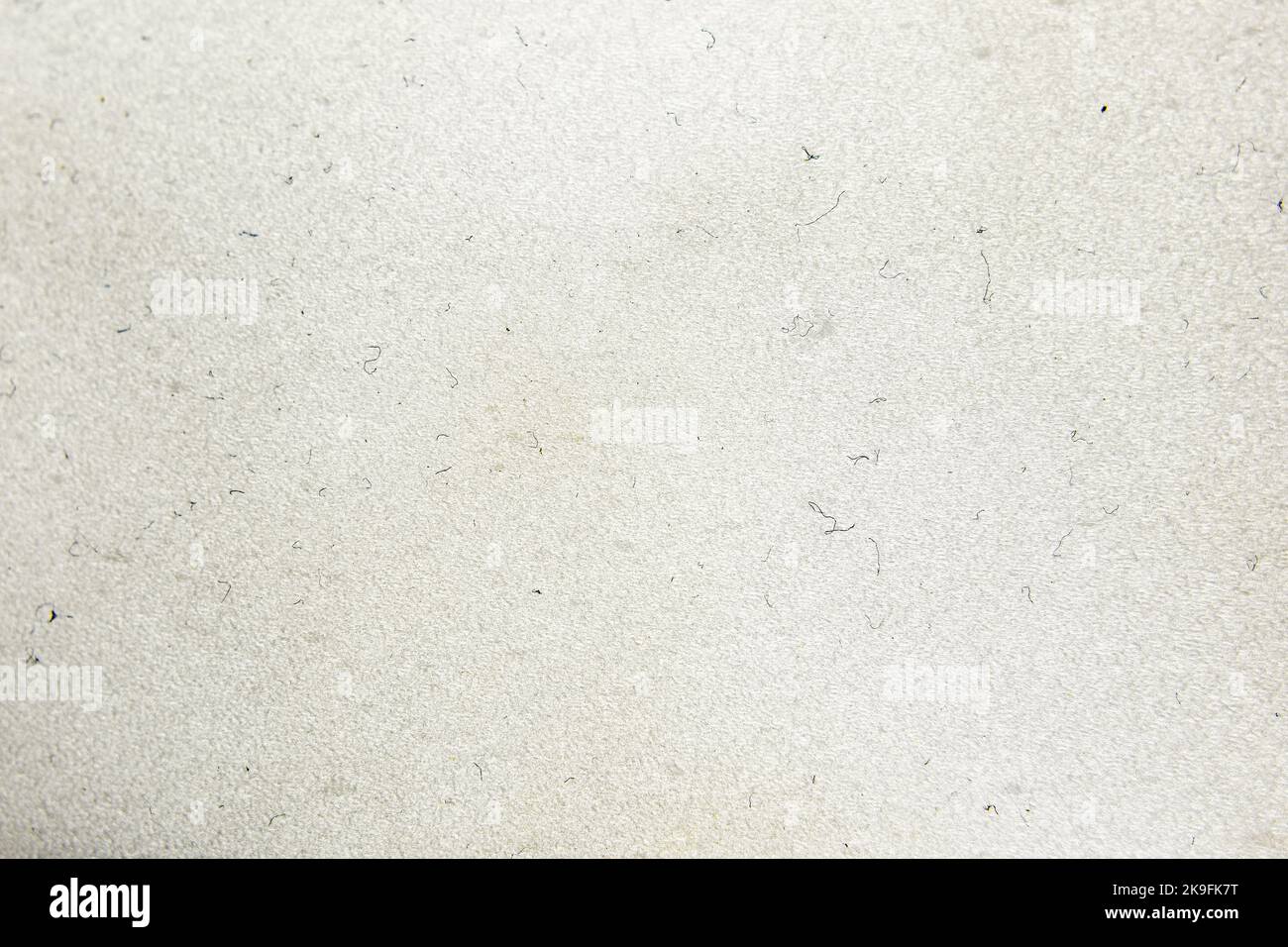 Dark hair, fur and dust particles on white sponge-like texture ...