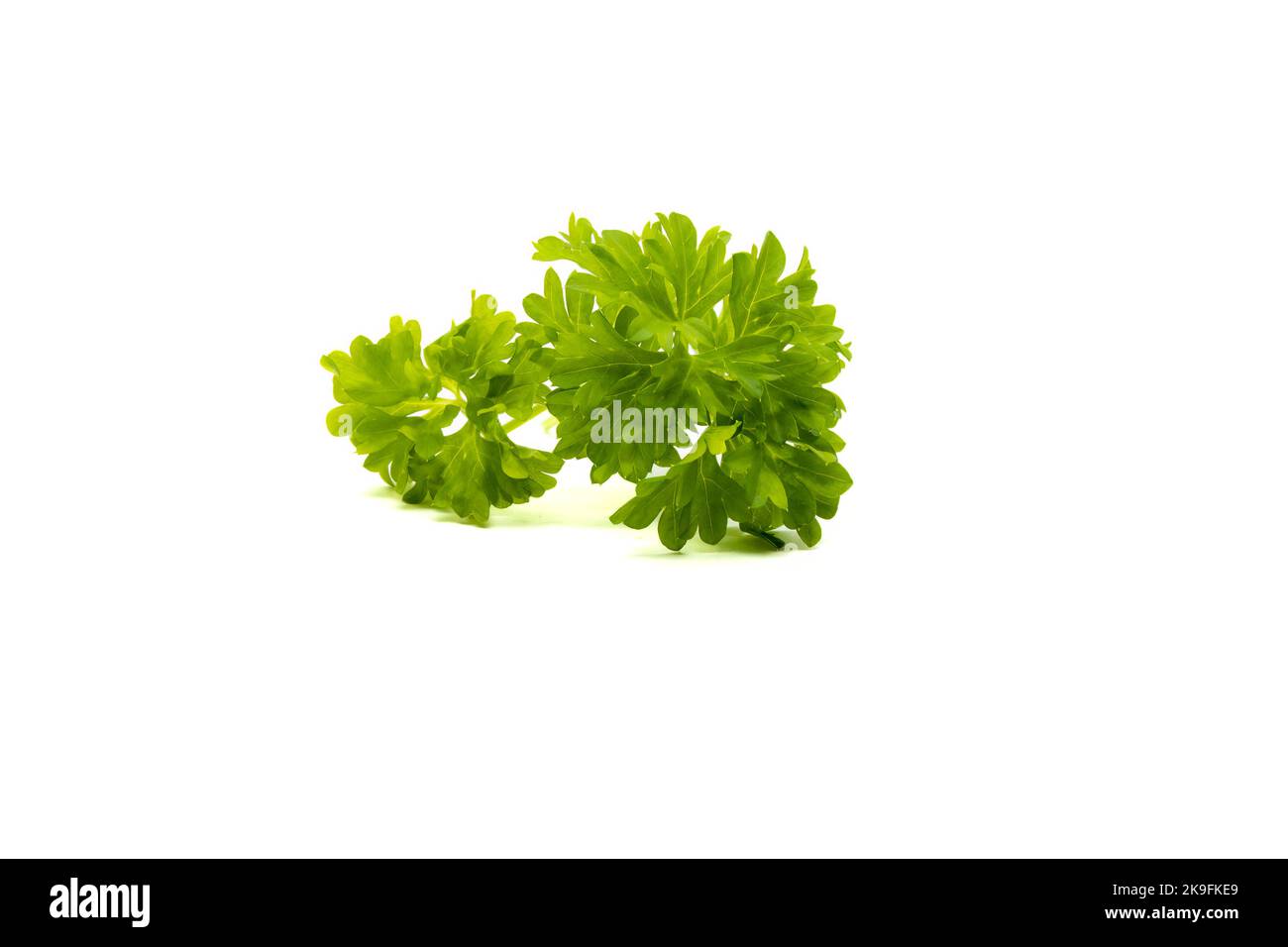 Fresh green parsley leaves isolated on white background Stock Photo - Alamy