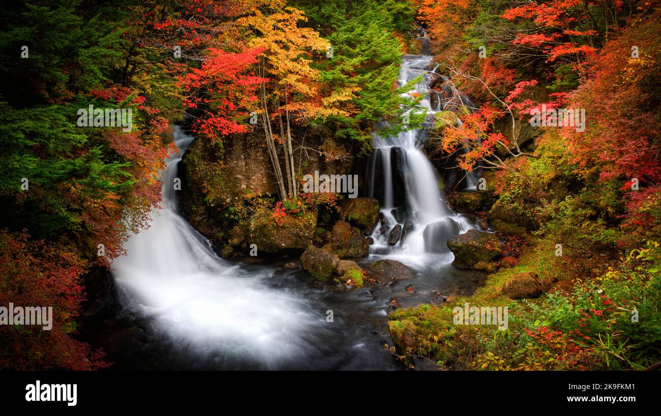Which resembles the head of a dragon hi-res stock photography and ...