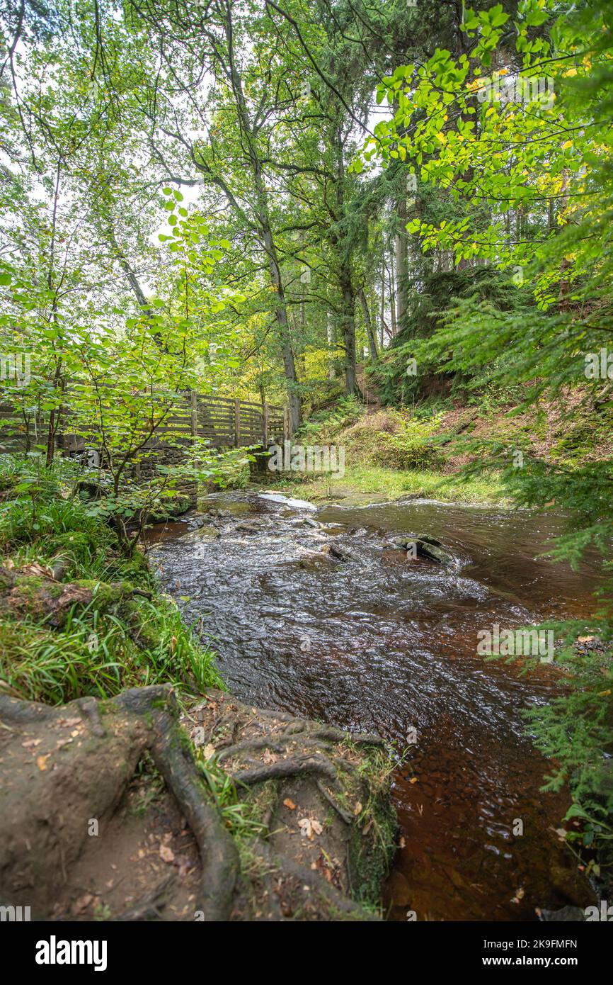 One of the bridges over the Hareshaw Burn Stock Photo - Alamy