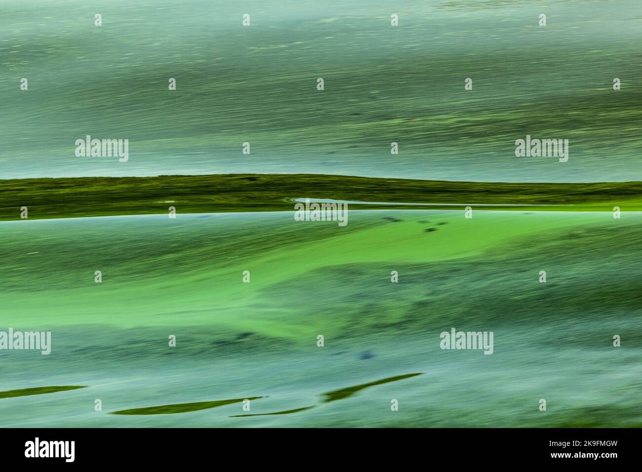 Green water with blooming algae reflective surface texture Stock Photo ...