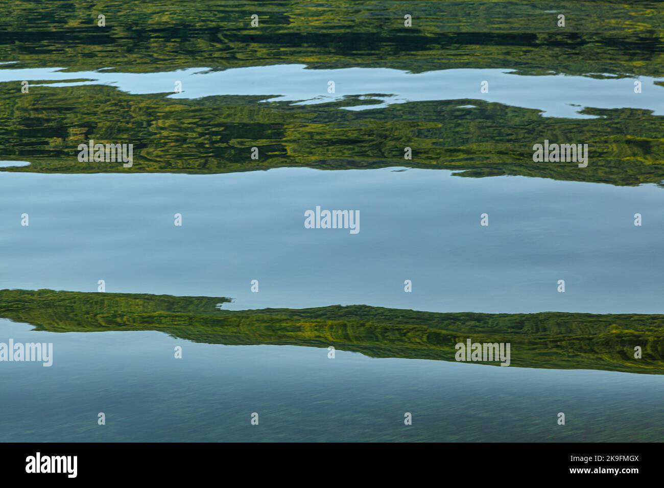 Green water with blooming algae reflective surface texture Stock Photo ...