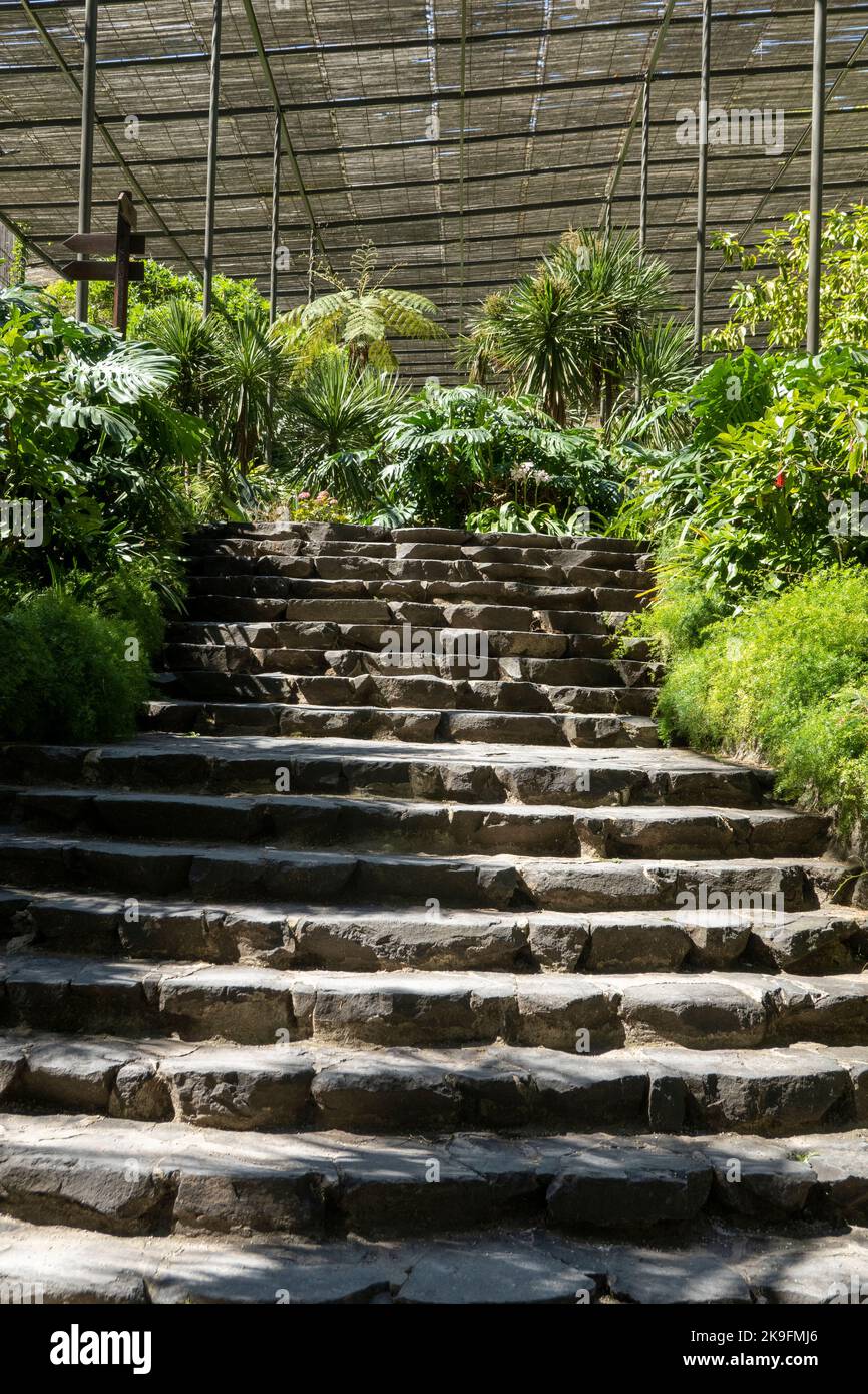 Estufa interior hi-res stock photography and images - Alamy