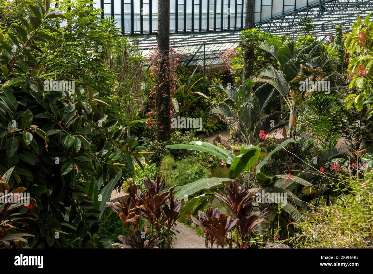 Botanical garden lisbon greenhouse hi-res stock photography and images - Alamy