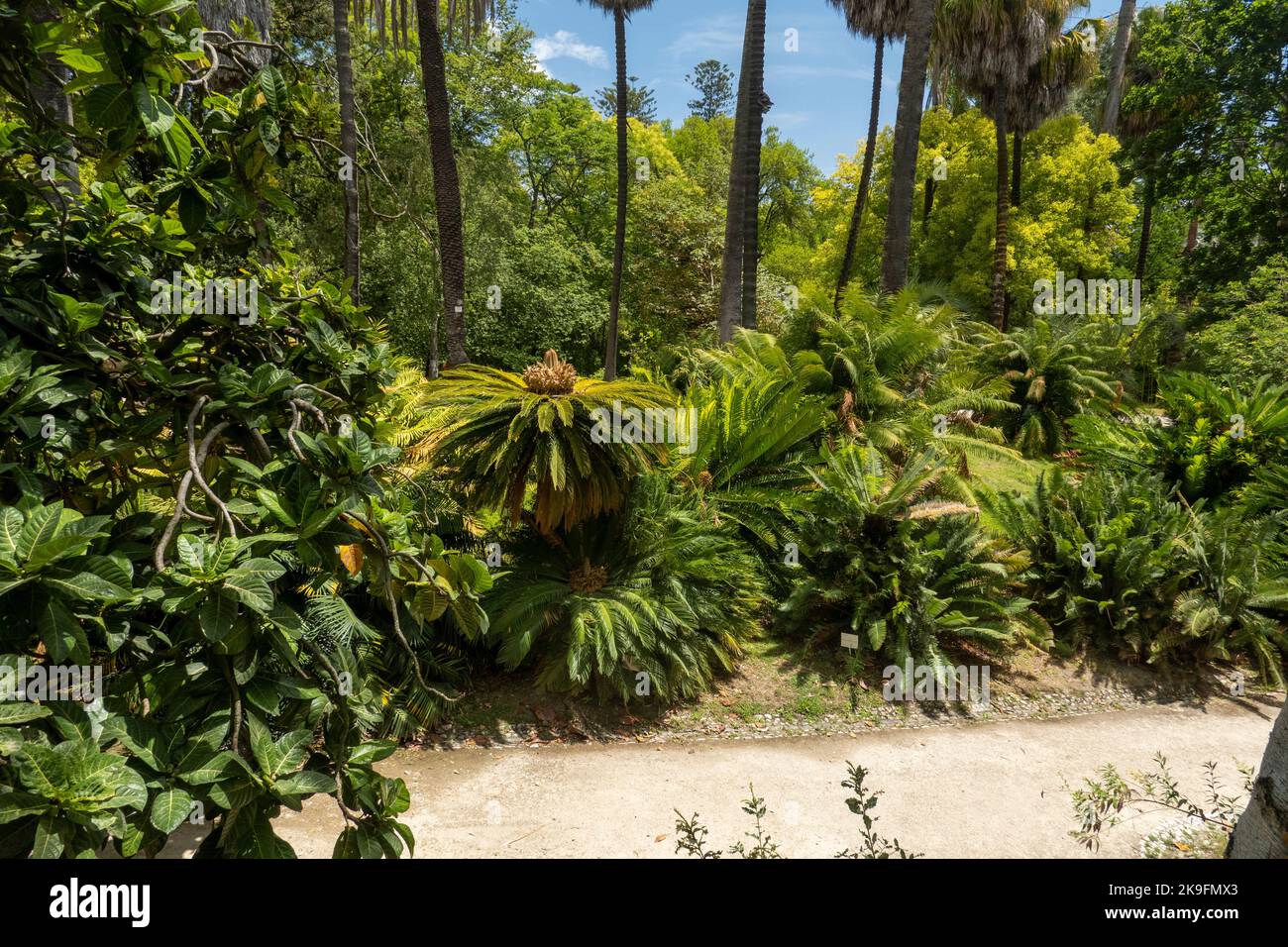 View of the beautiful Botanical garden of the capital city, Lisbon, Portugal Stock Photo - Alamy