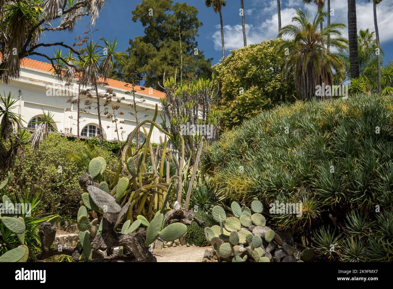 View of the beautiful Botanical garden of the capital city, Lisbon, Portugal Stock Photo - Alamy
