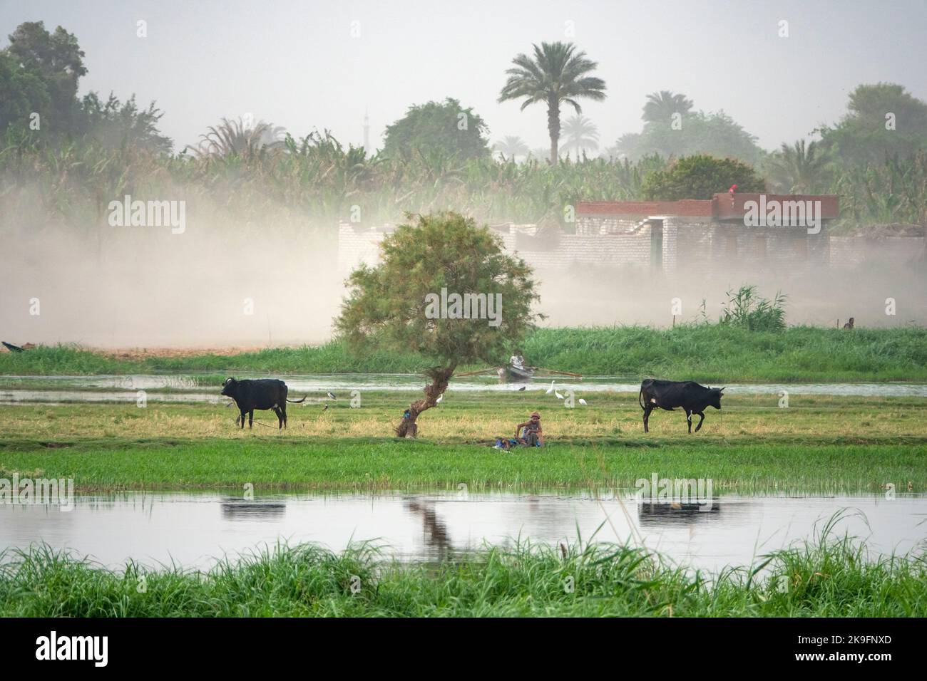 Rural scene on the banks of the river Nile, Egypt , with fishermen and ...