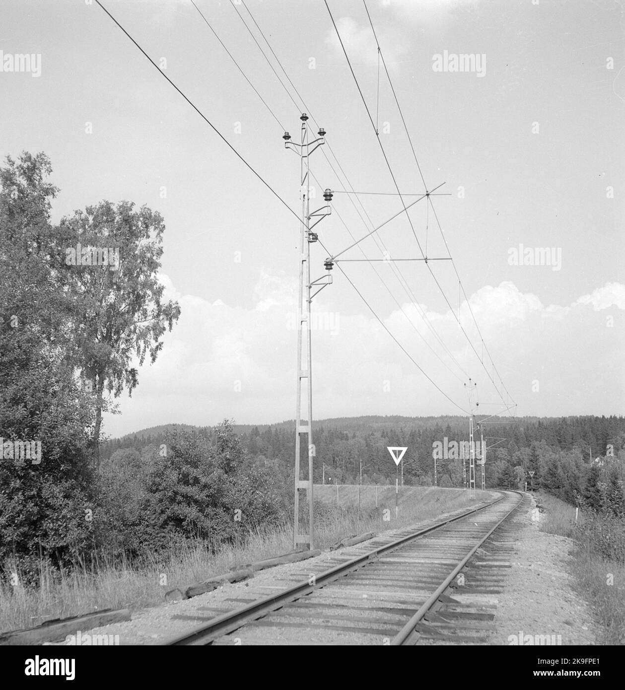 Line image from the Borå area. Forest landscape Stock Photo - Alamy