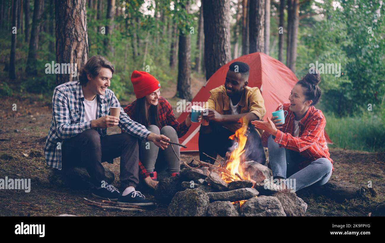 multiracial group of friends Caucasian and African American are sitting ...