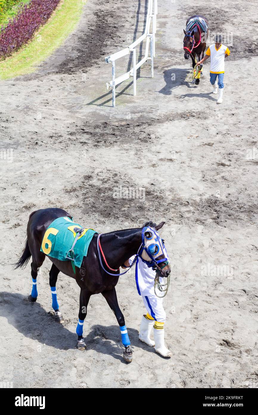 Horse racing at the Metroturf hippodrome in Tanauan, Batangas ...