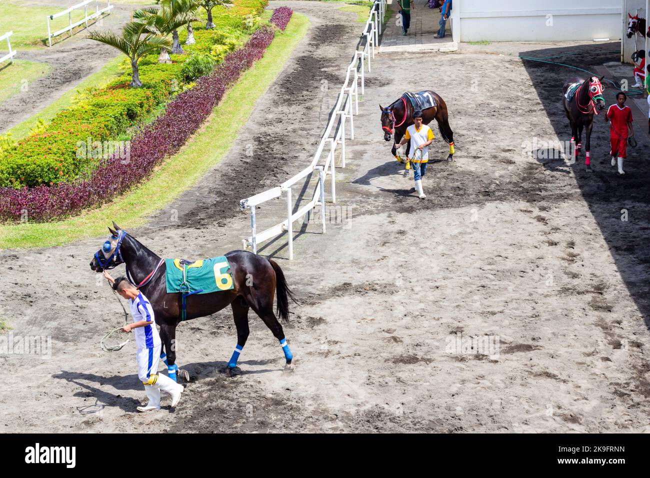 Horse racing at the Metroturf hippodrome in Tanauan, Batangas ...