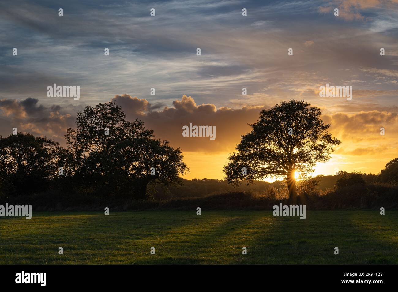 Sunset on Middlewick ranges in Colchester, Essex. Sunlight shines ...
