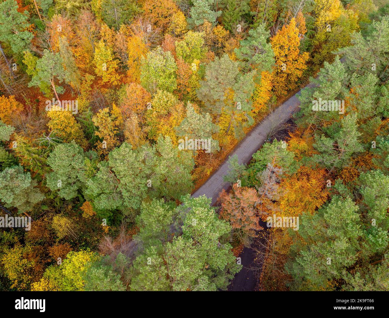 an aerial view of the road that runs through the autumn forest Stock ...