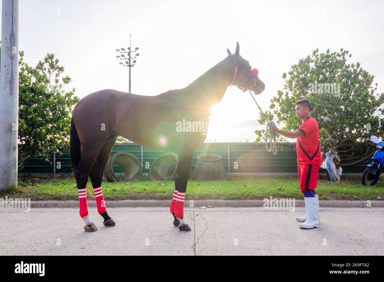 Horse racing at the Metroturf hippodrome in Tanauan, Batangas ...