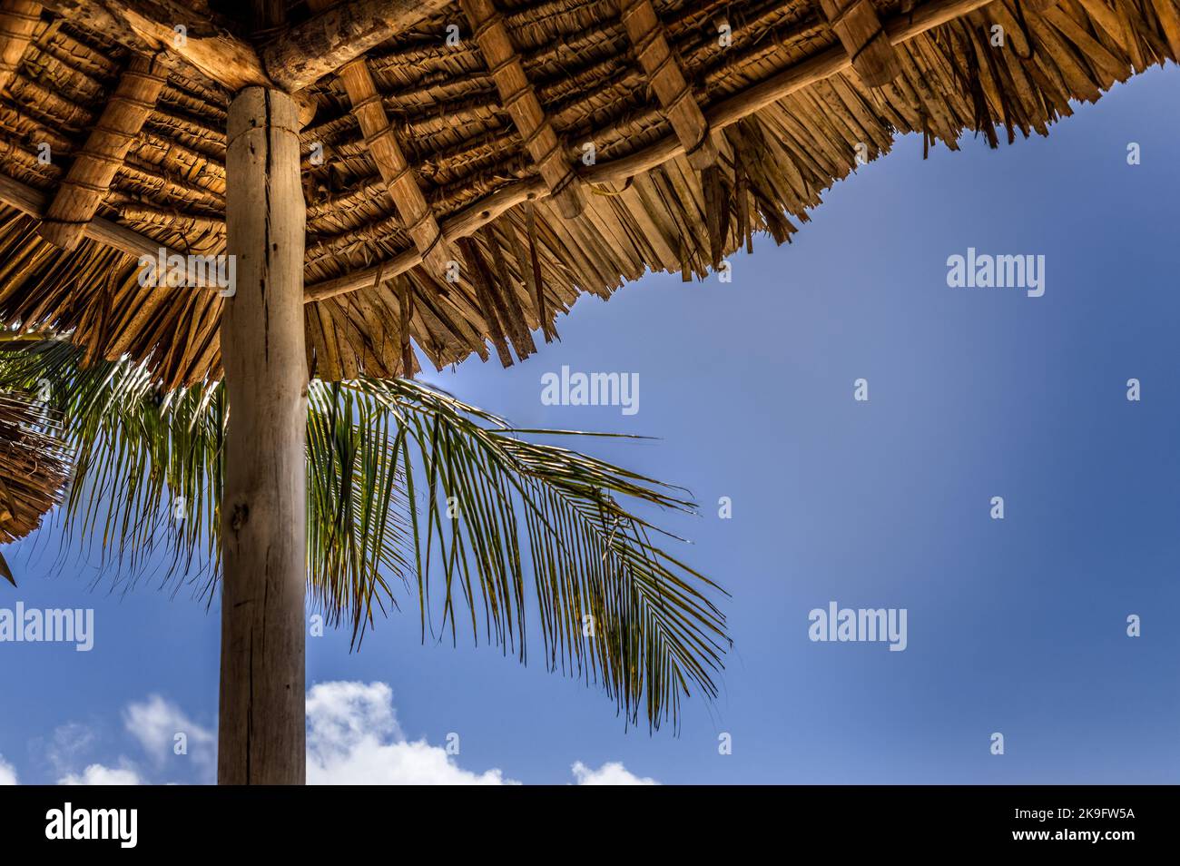 Reed covered cabana roof an a tropical beach Stock Photo - Alamy