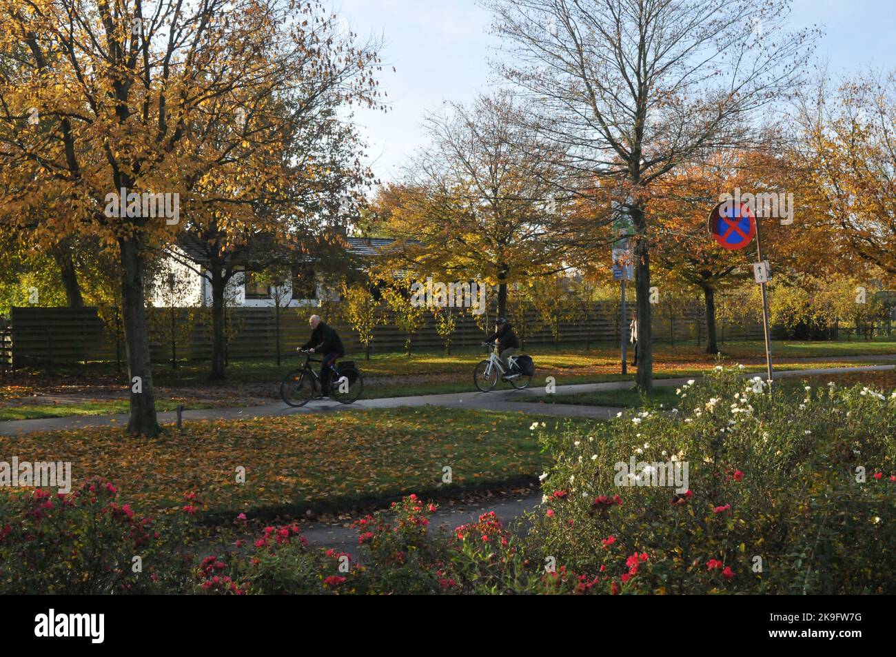 Copenhagen/Denmark/28 October 2022/Autumn or fall colour of tree and ...