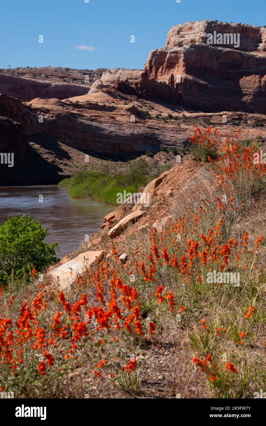 Moab hikes hi-res stock photography and images - Alamy
