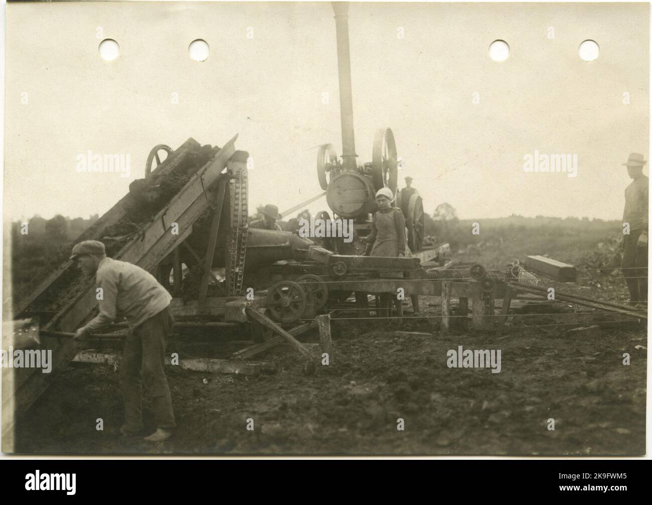 Vislanda peat field Stock Photo - Alamy