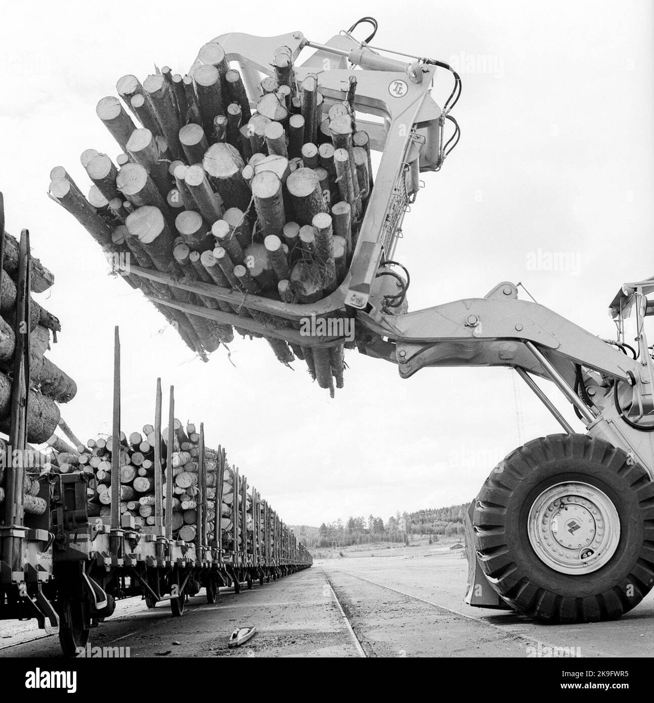 Unloading pulpwood. SCA, Töva terminal Stock Photo - Alamy