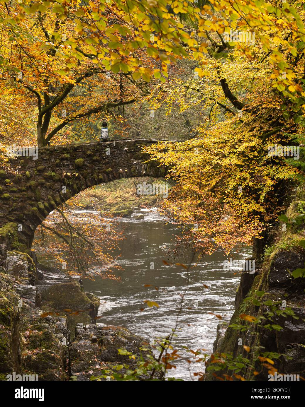 The Hermitage, Perthshire, Scotland, UK in autumn Stock Photo - Alamy