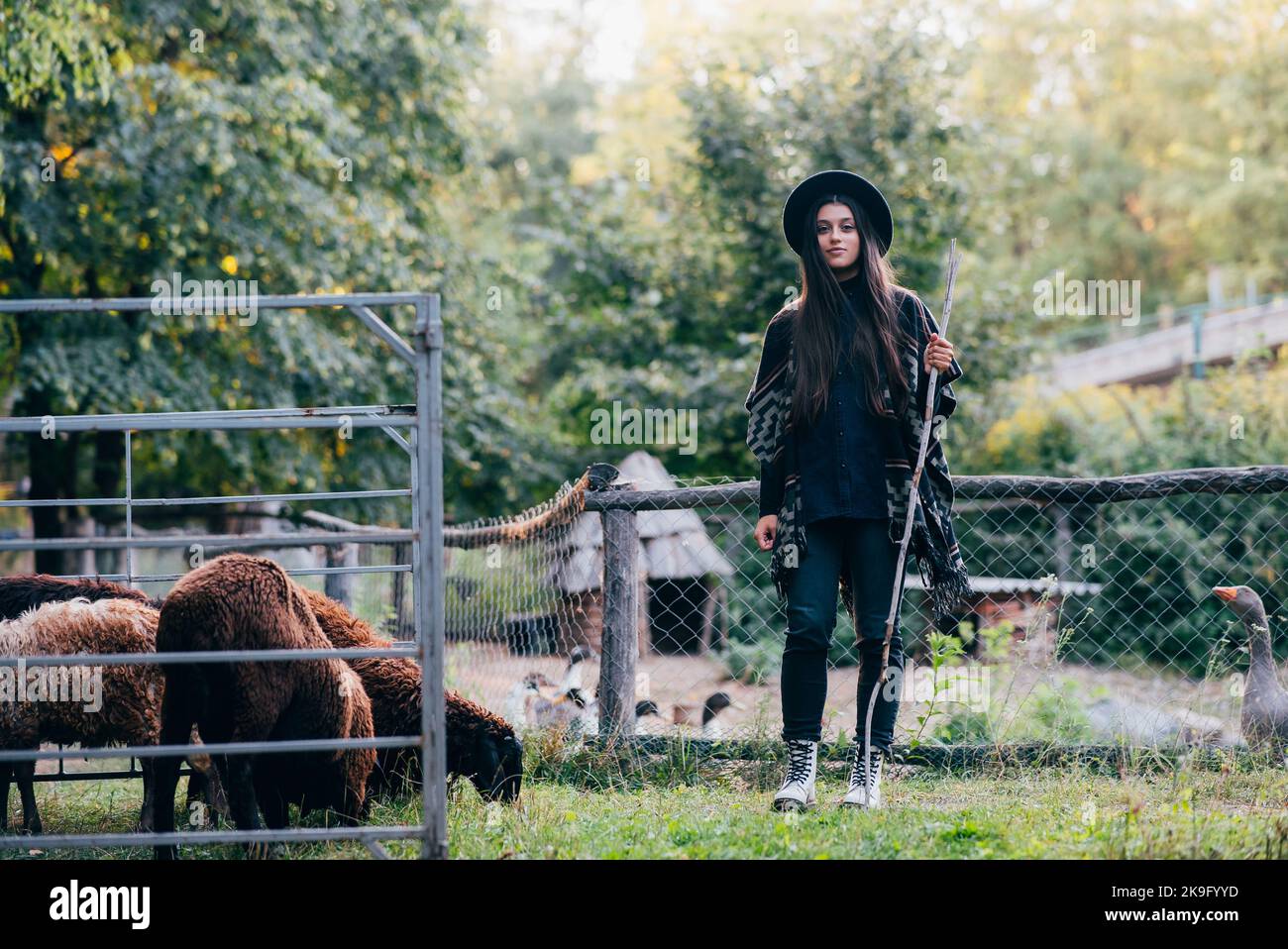 Young woman near a pen with sheep on a farm Stock Photo - Alamy