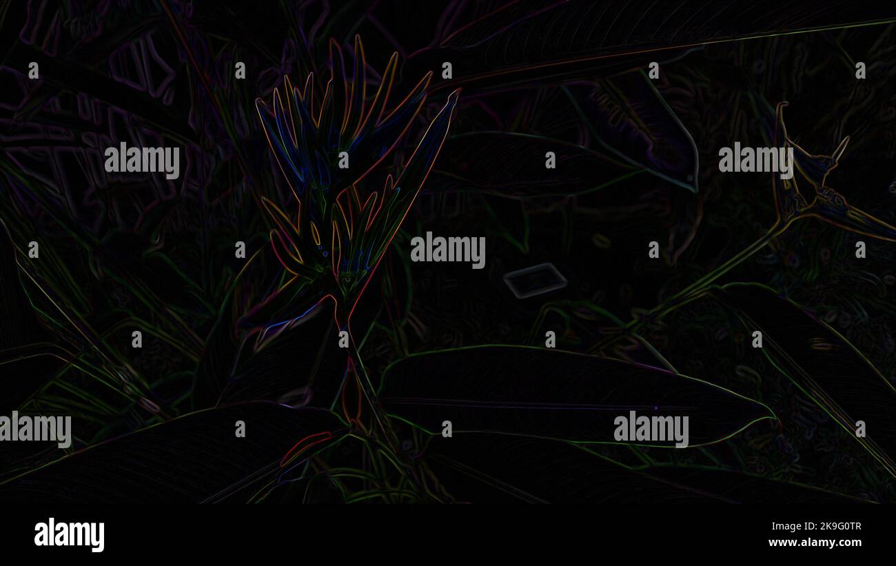 Abstract neon glowing flowers hi-res stock photography and images - Alamy