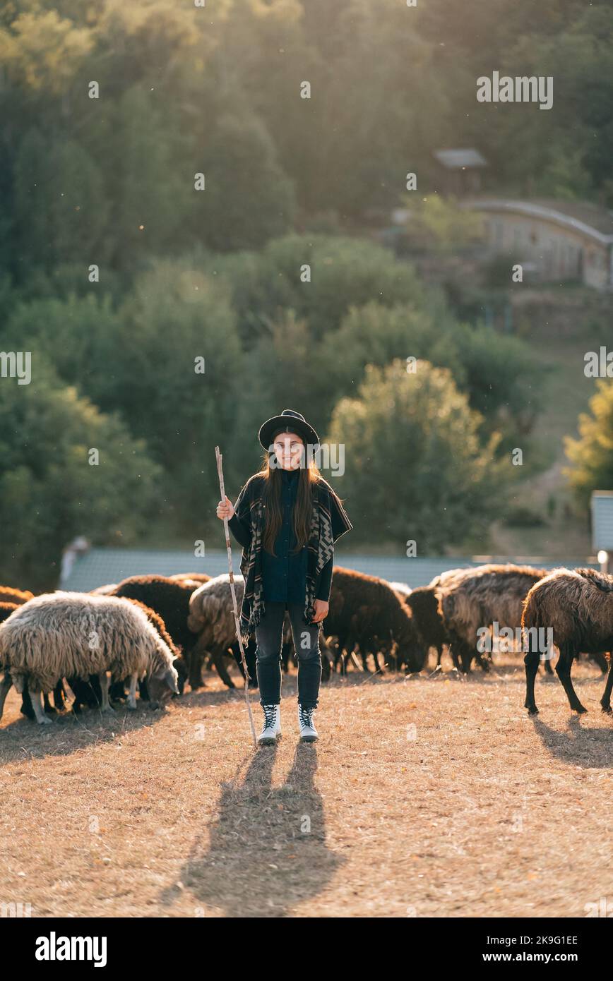 Female shepherd and flock of sheep at a lawn Stock Photo - Alamy