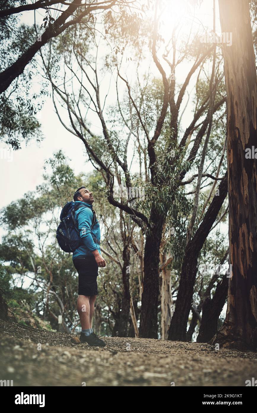 Middle aged tree hi-res stock photography and images - Alamy