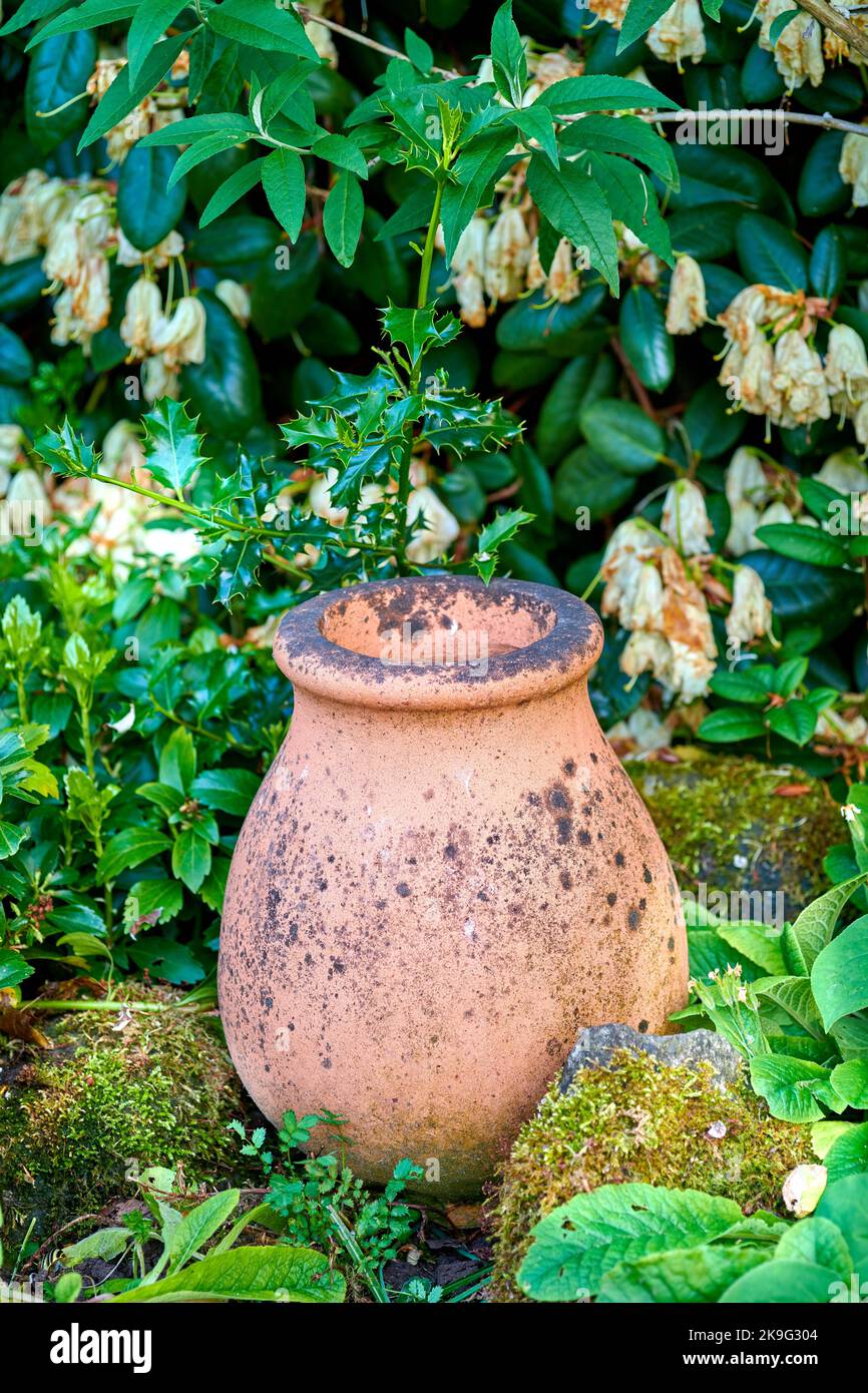 The product of proper gardening. a well kept garden Stock Photo - Alamy