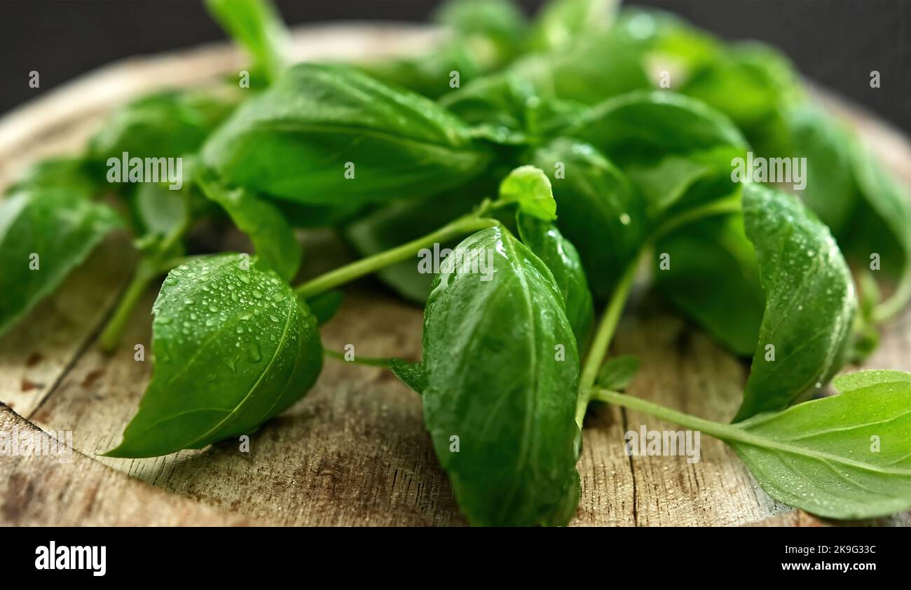 Fresh green basil leaves on a wooden board Stock Photo - Alamy