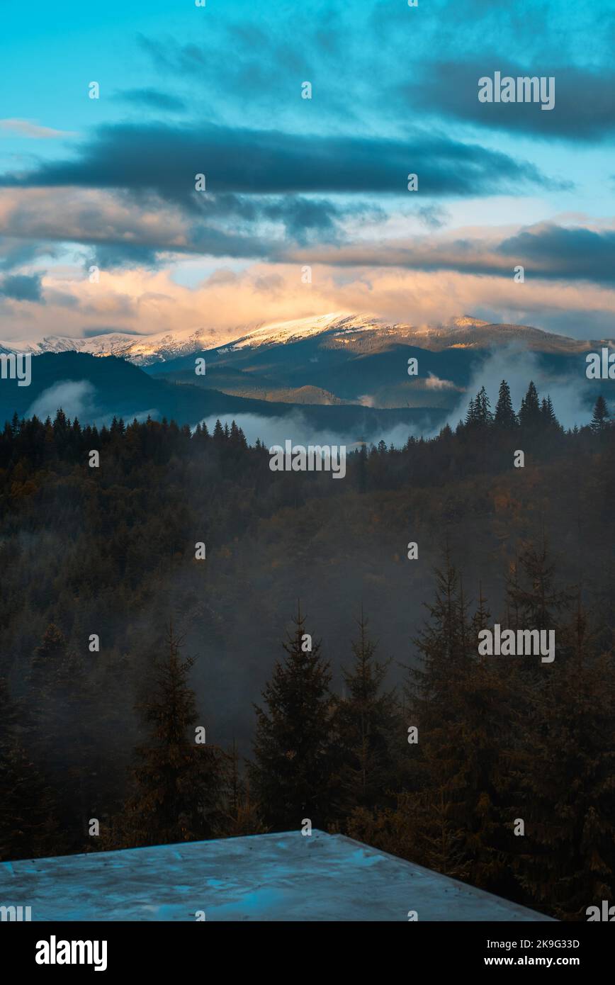 Coniferous Forest and Mountains Landscape Travel serene scenery Stock ...