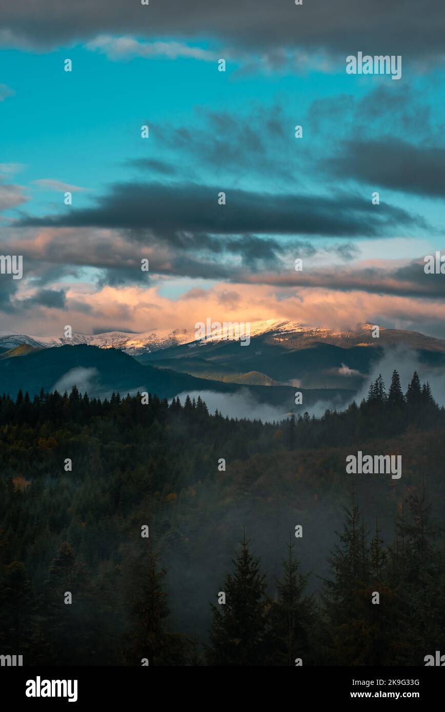Coniferous Forest and Mountains Landscape Travel serene scenery Stock ...